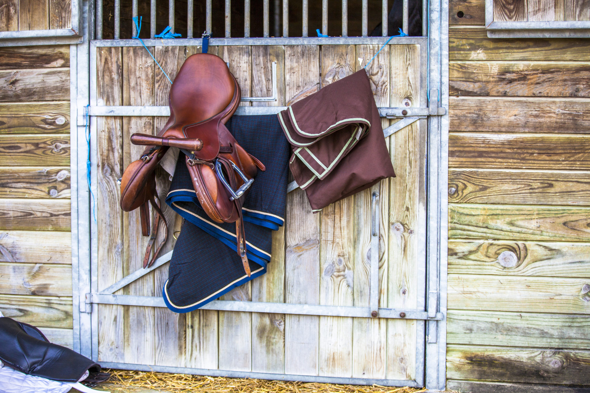 De uitrusting voor je paard: Wat heb ik nodig? | zooplus