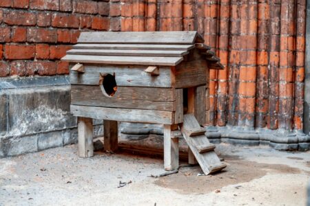 Zelf een kattenhuis bouwen | zooplus Magazine