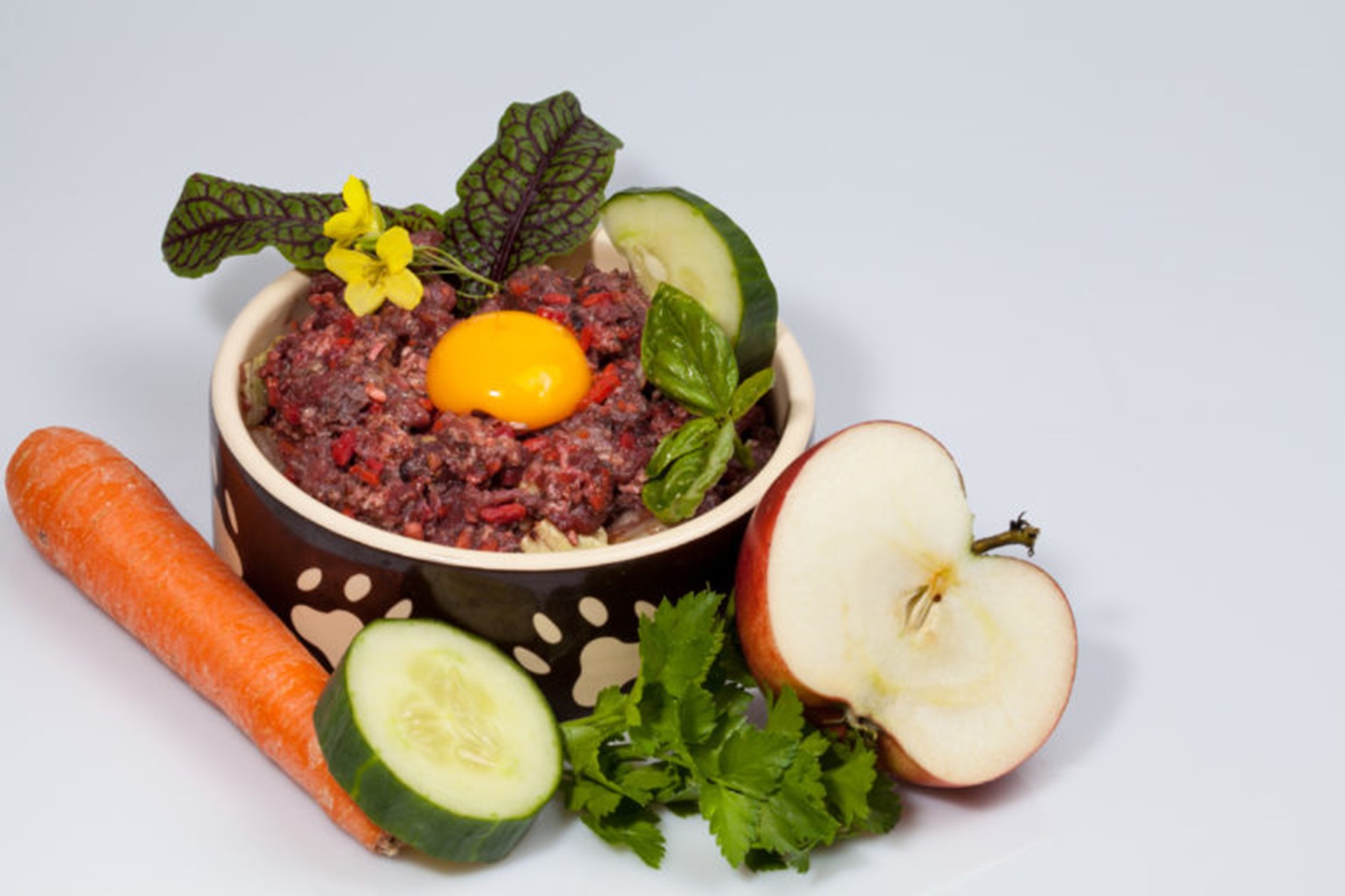 De belangrijkste voedingsstoffen voor je hond | zooplus Magazine